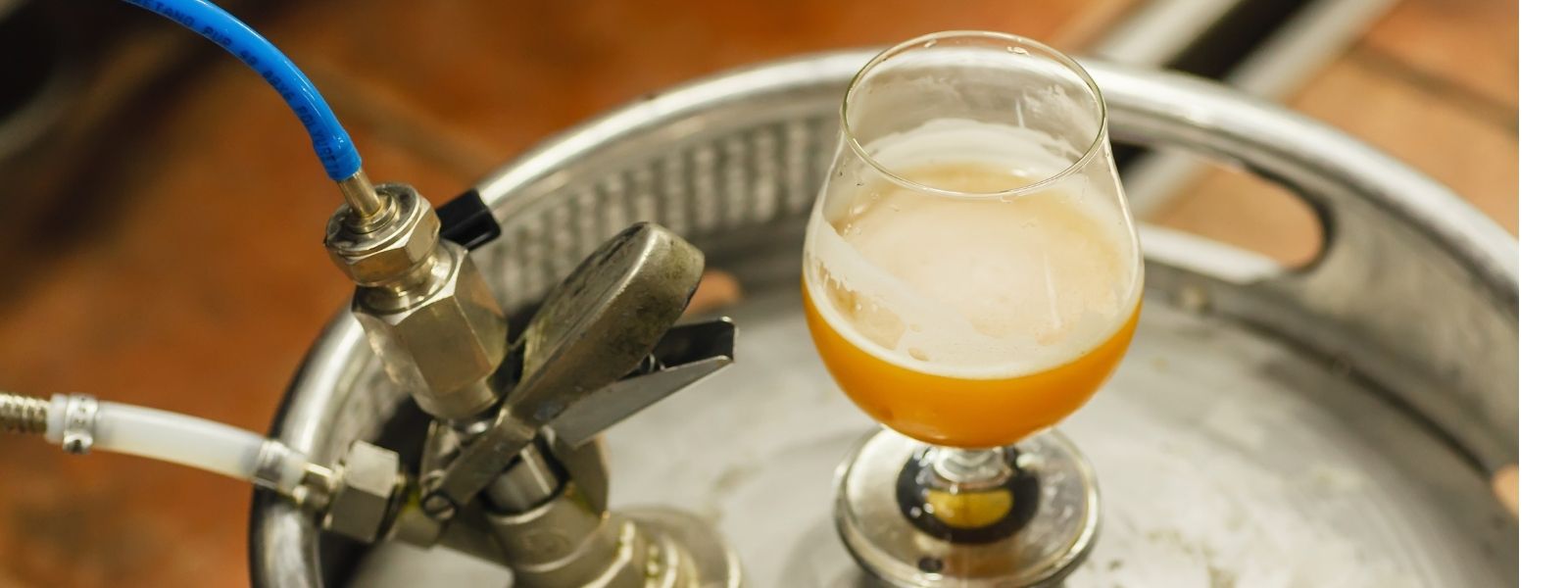 Wort Chillers for Homebrewing Beer | NY Brew Supply